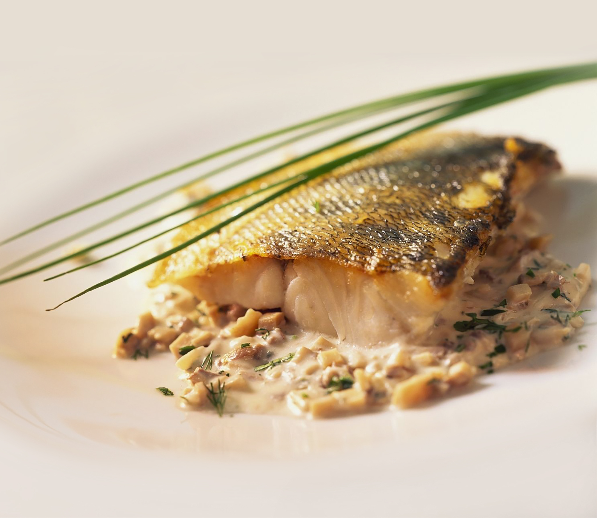 Zanderfilet mit Haut, geschuppt, praktisch grätenfrei, 220-300g, IQF ...