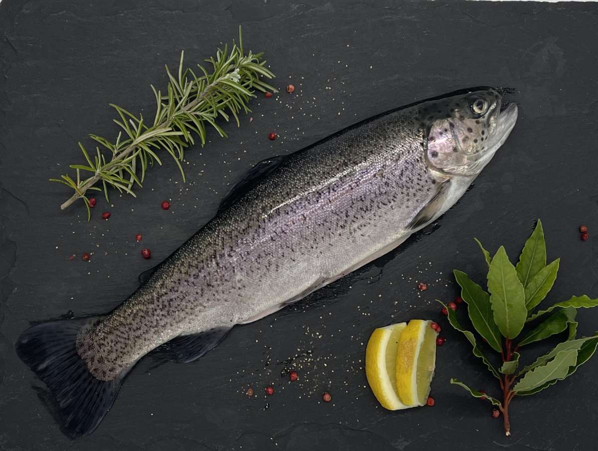 Fischspezialitäten | Arctic-Fresh-Seafood-Shop