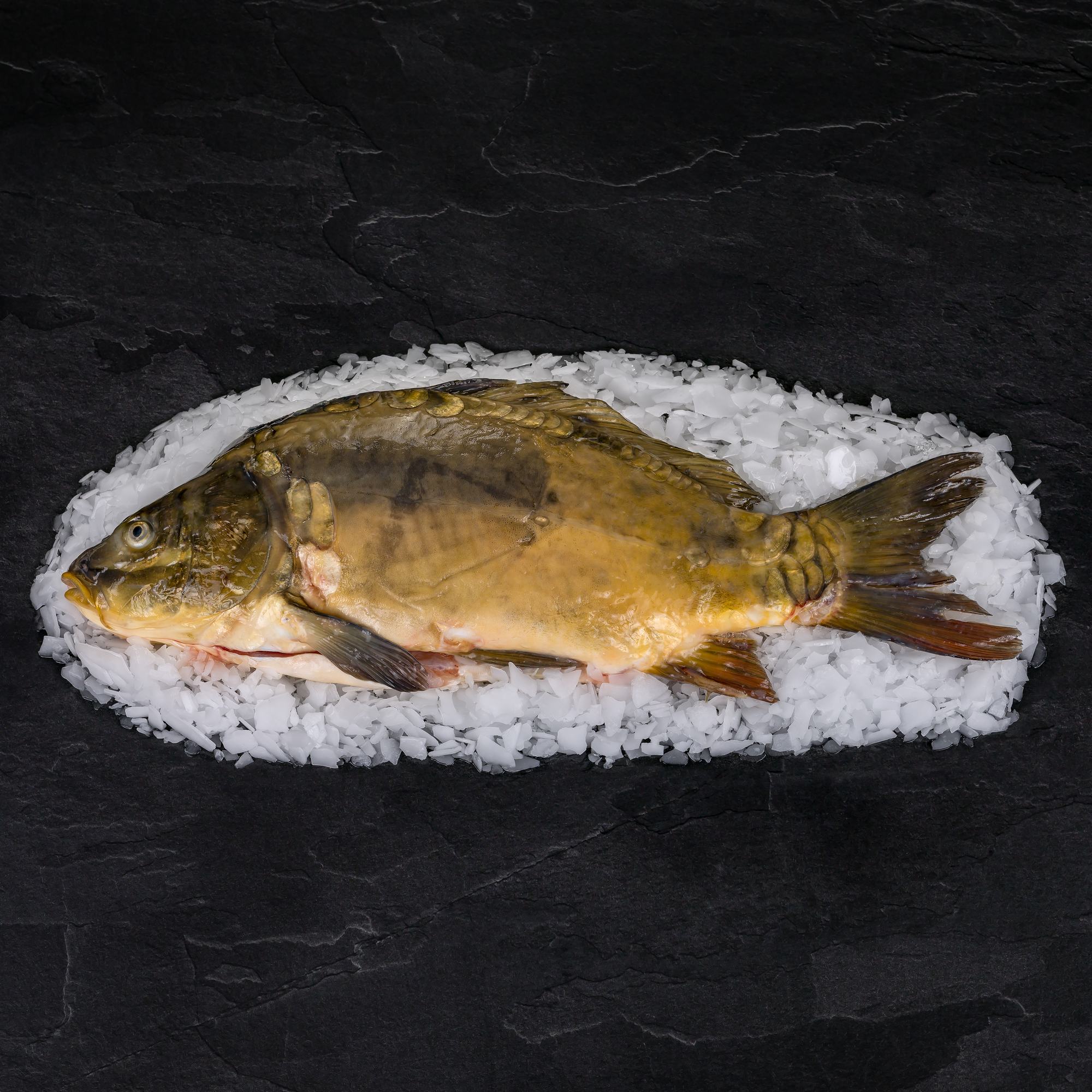 Karpfen 1-2 kg | Arctic-Fresh-Seafood-Shop