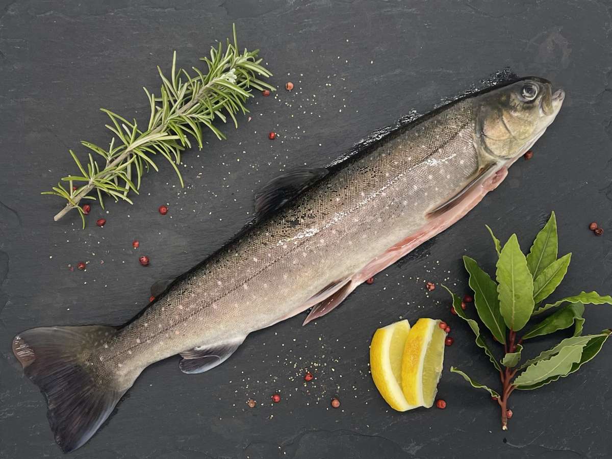 Fischspezialitäten | Arctic-Fresh-Seafood-Shop