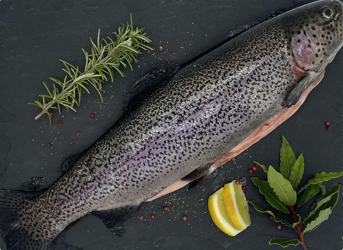 Fischspezialitäten | Arctic-Fresh-Seafood-Shop