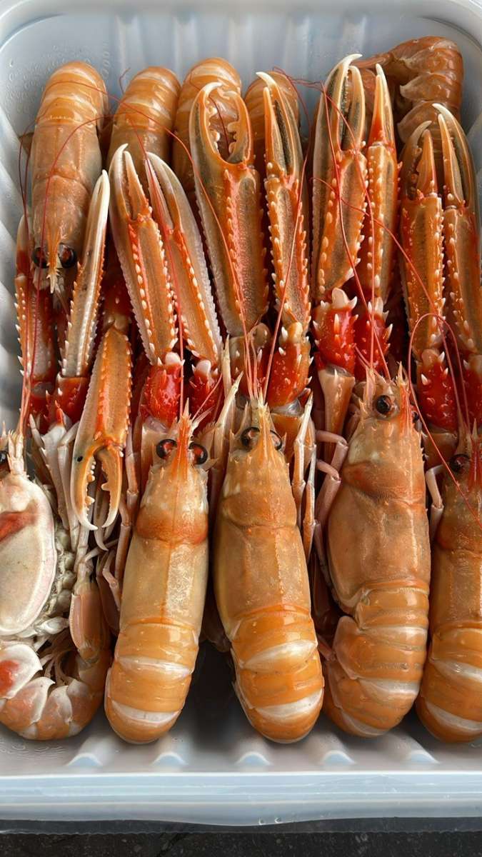 Fischspezialitäten | Arctic-Fresh-Seafood-Shop