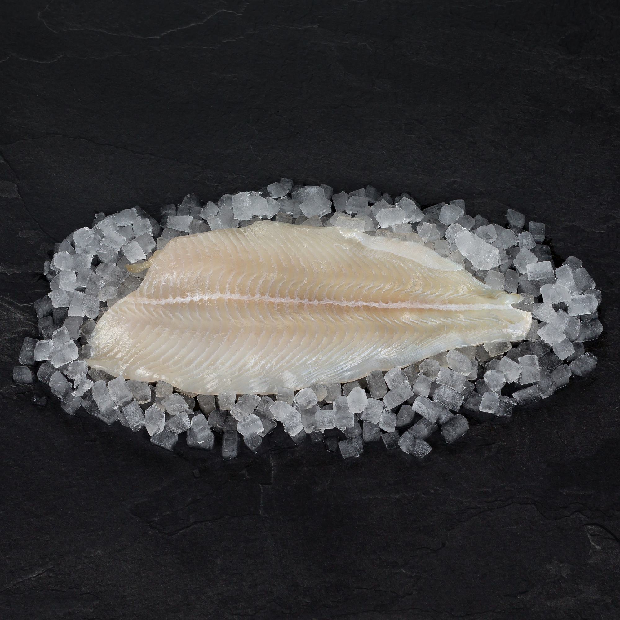 Island Rotzungenfilet 80 gr+, ohne Haut | Arctic-Fresh-Seafood-Shop