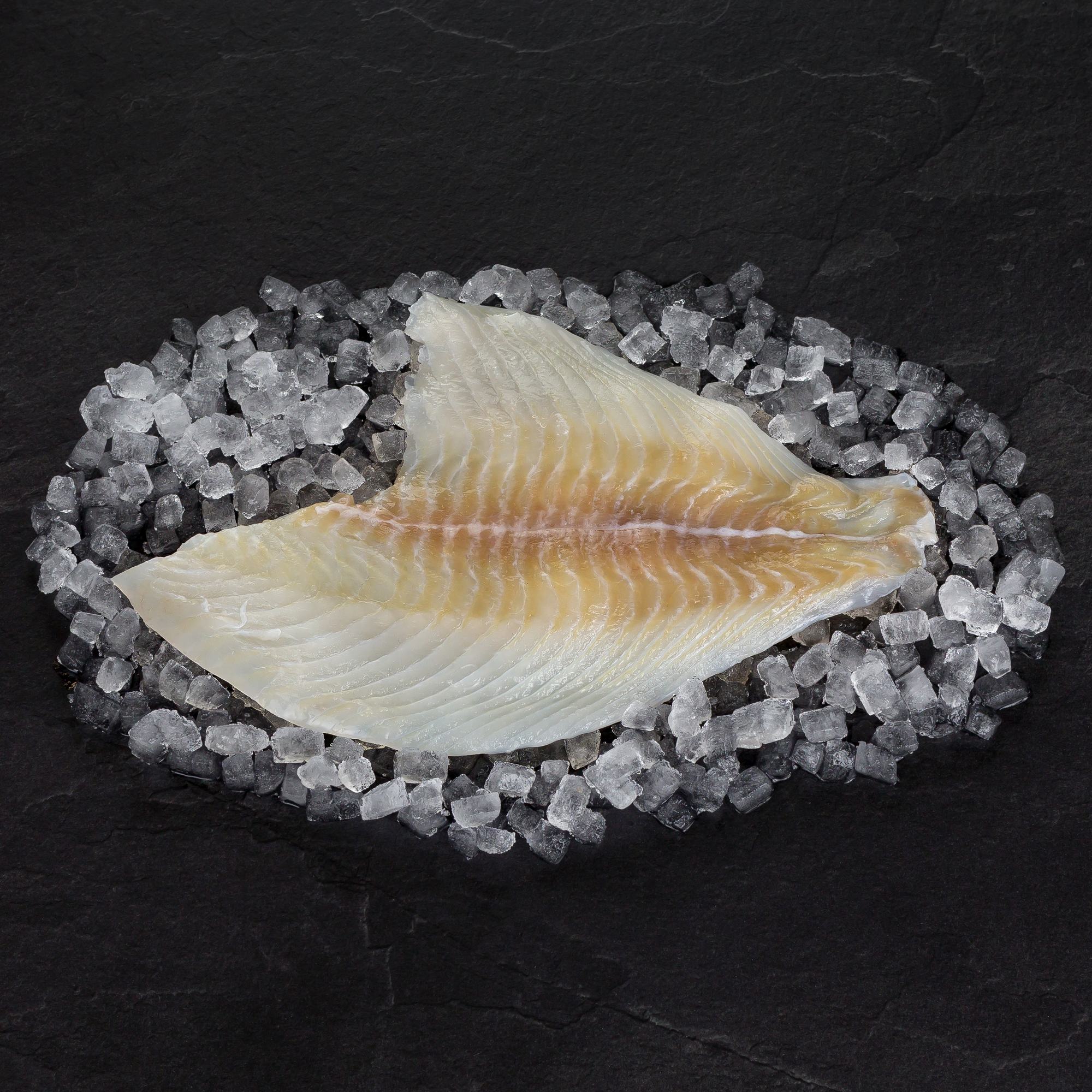 Steinbuttfilet (Wildfang), ohne Haut | Arctic-Fresh-Seafood-Shop
