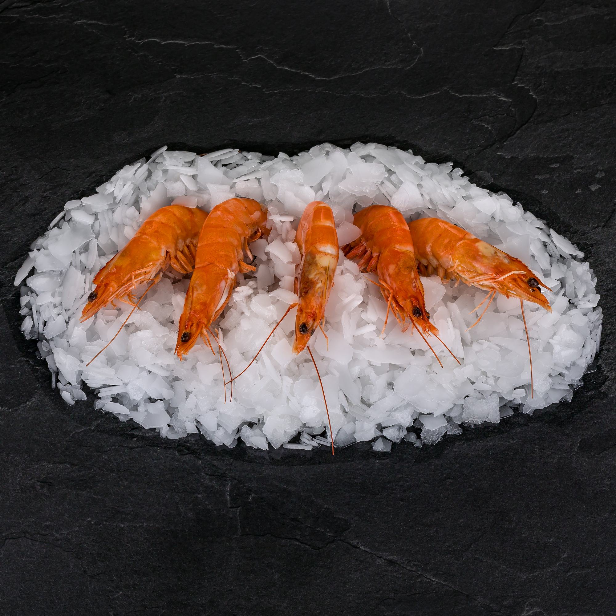 Crevetten rose 30-40er, gekocht | Arctic-Fresh-Seafood-Shop